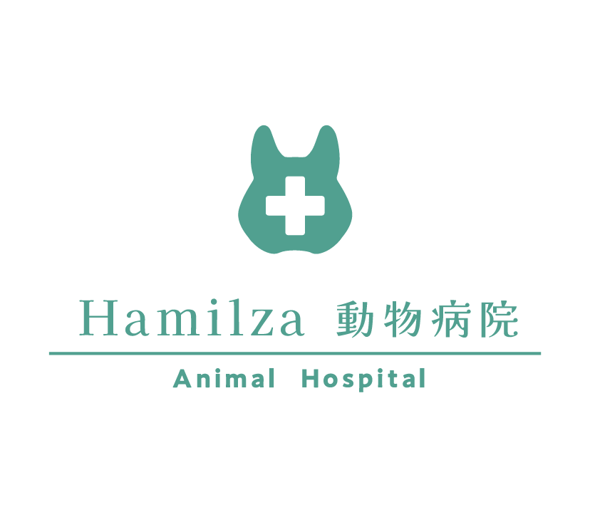 Hamilzaストア：動物病院が選んだペット用品を販売、丁寧に選んだ品物が多数：（関西）兵庫県西宮市