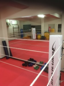 チームリアルボクシングジム(TeamReal Boxing Gym)