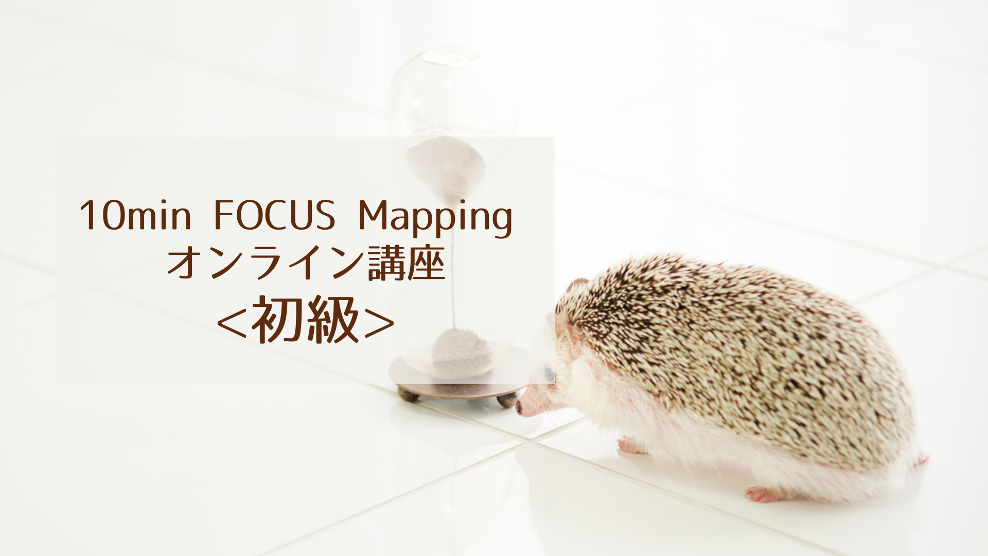 10min FOCUS Mapping®オンライン講座