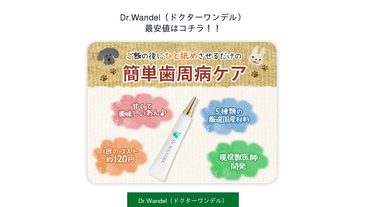 Dr.Wandel（ドクターワンデル）最安値はここ｜簡単口臭ケア！