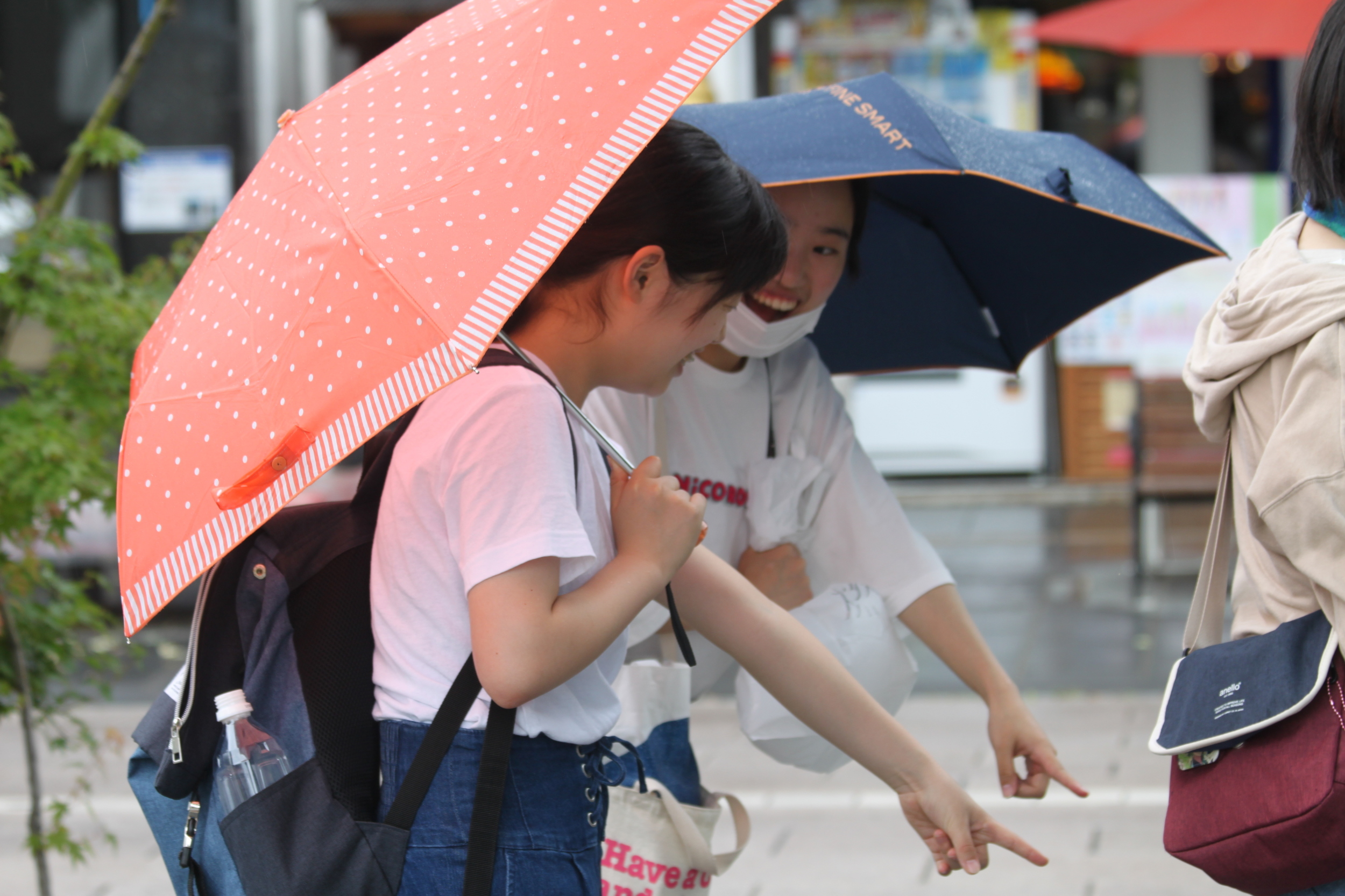 北村優斗 / Yuto Kitamura