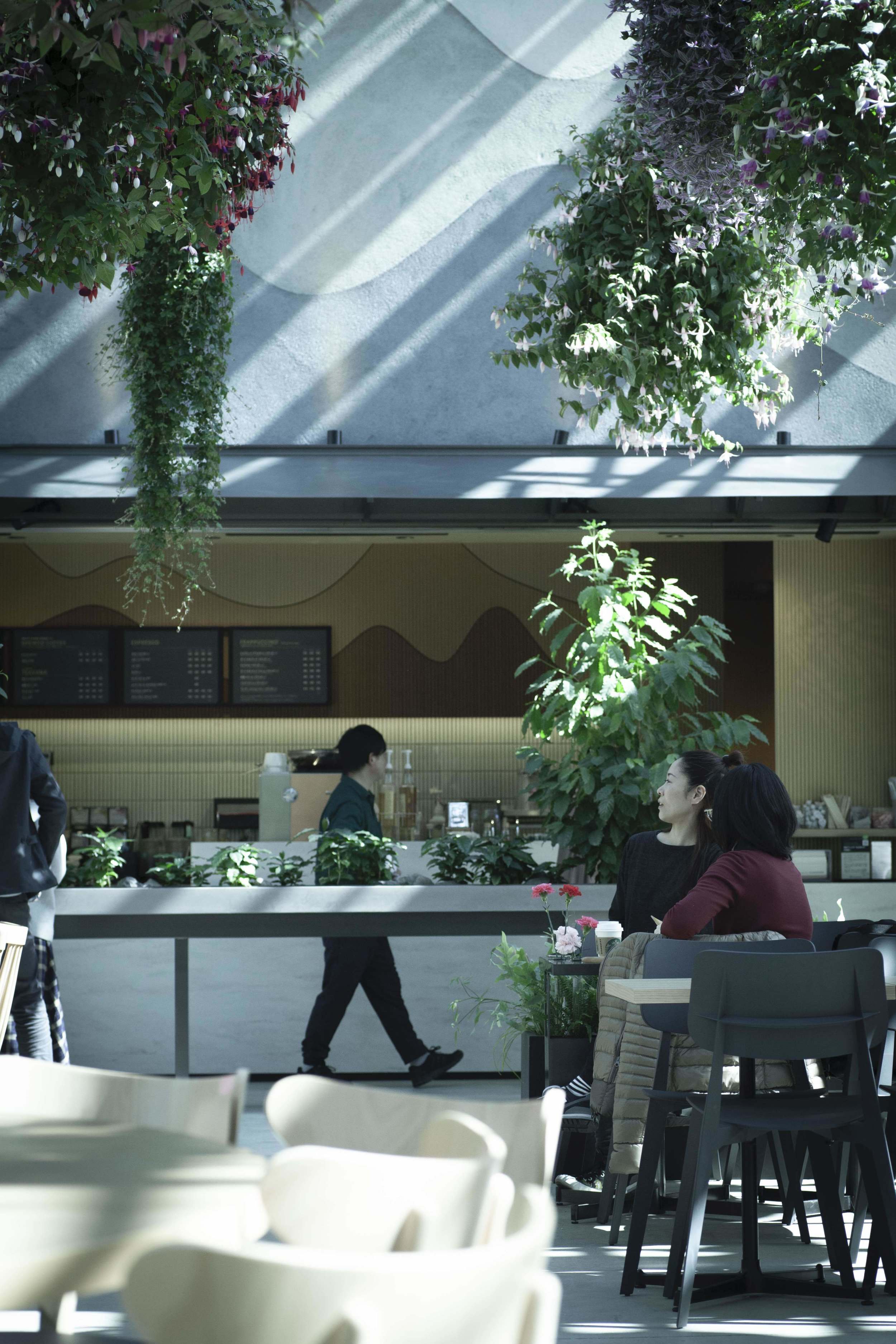 eri ishiguro's photograph