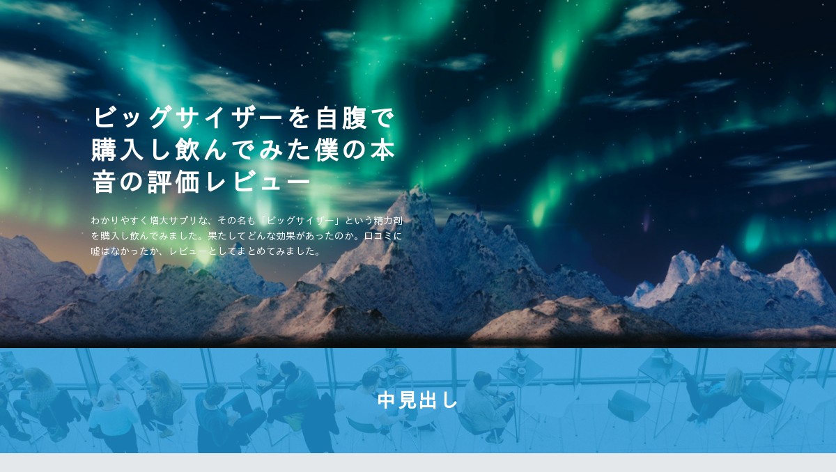 Big Sizer(ビッグサイザー)という増大サプリを実際に飲んで効果や口コミについて検証&評価してみた！