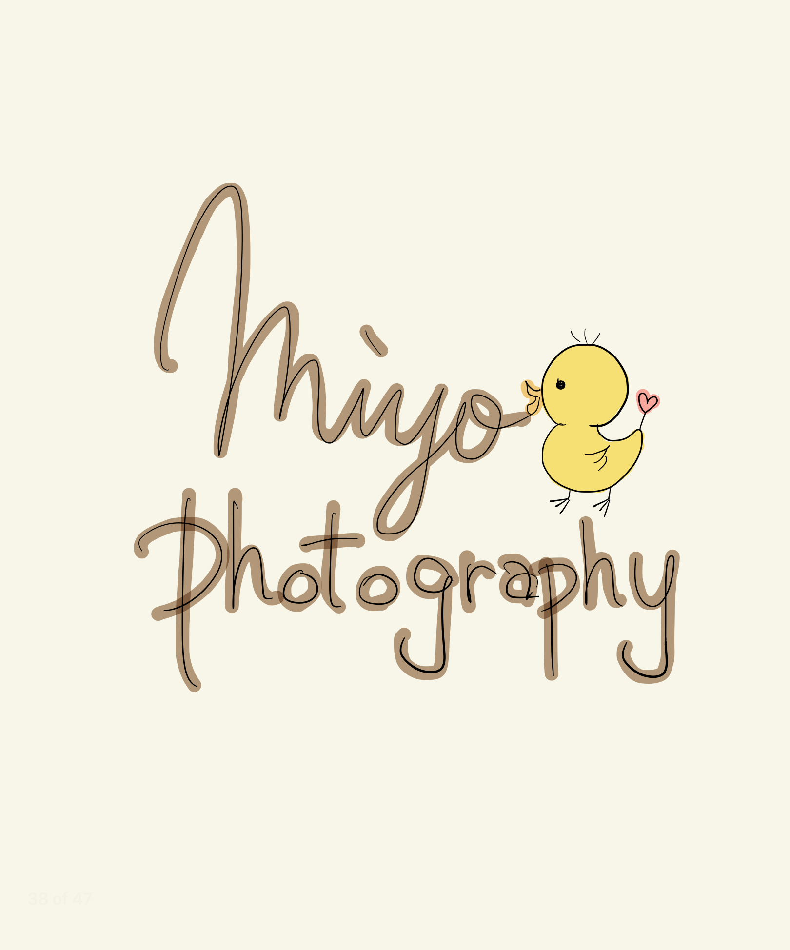 Miyo Photographyの撮影料金