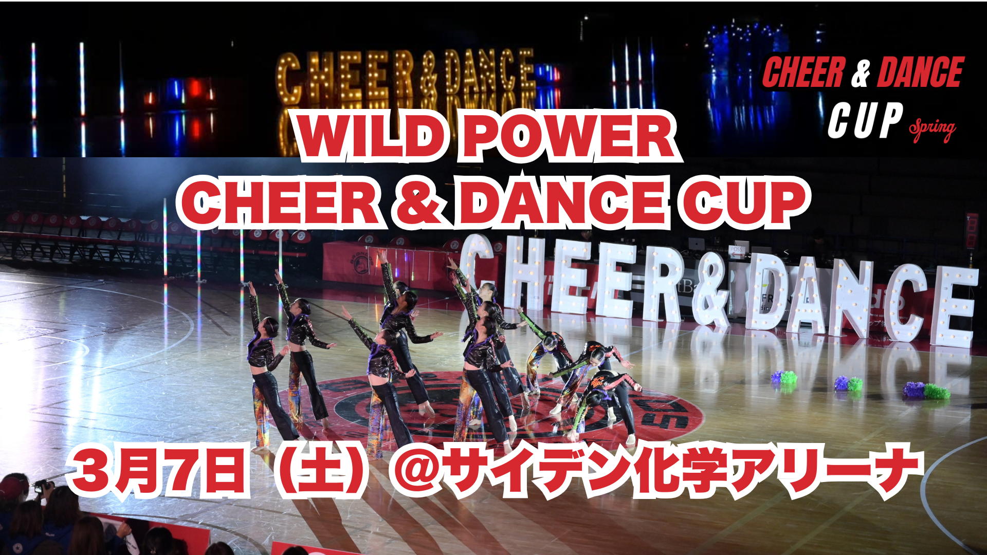 WILD POWER CHEER CUP