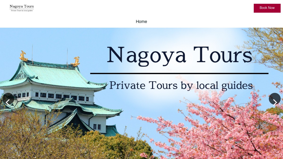 Nagoya Tours : Private Local Guide