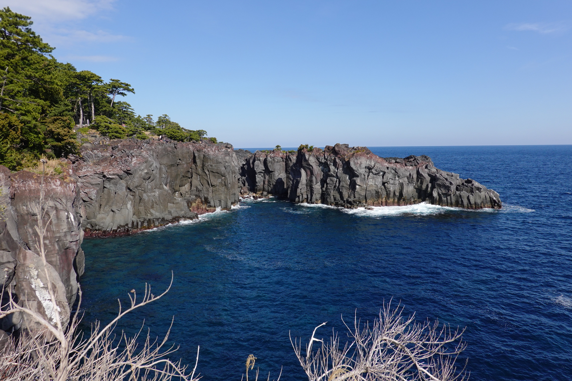 ベルサス株式会社